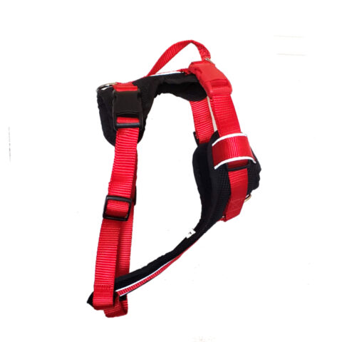 FRONT Harness Adjustable Front-Clip Dog Harness | Dog Training ...