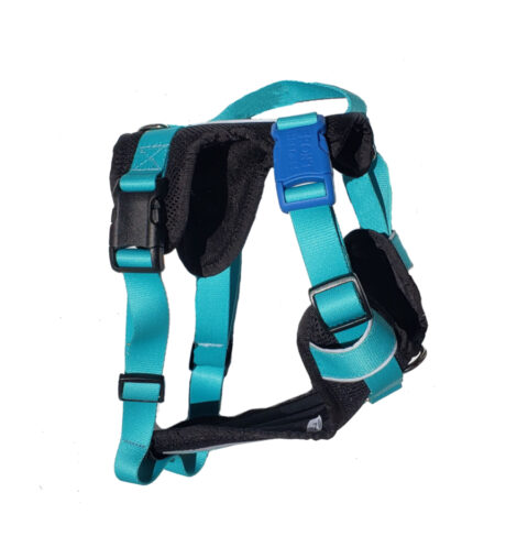 FRONT Harness Adjustable Front-Clip Dog Harness | Dog Training ...